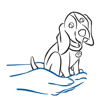 Adoption Donation increases May 1st 2024 - Safe Rescue for Dogs