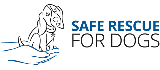 Dogs for adoption - Safe Rescue for Dogs