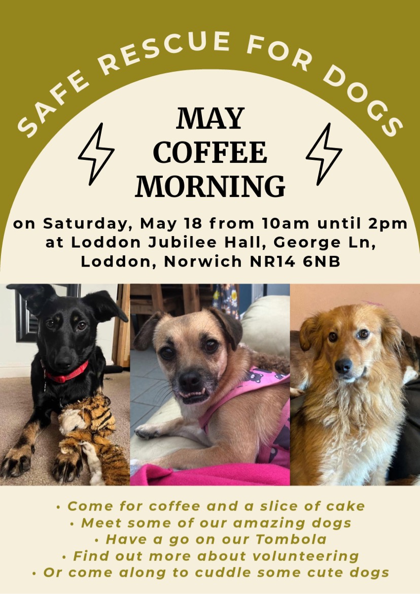 Safe Rescue for Dogs May Coffee Morning – Sat 18th May 2024 - Safe ...