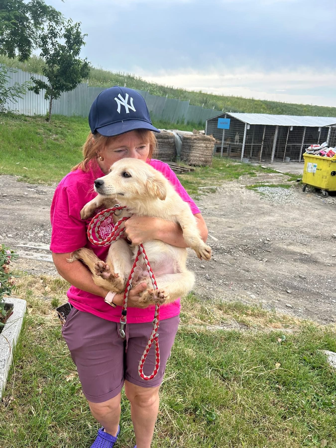 Cathy - Safe Rescue for Dogs