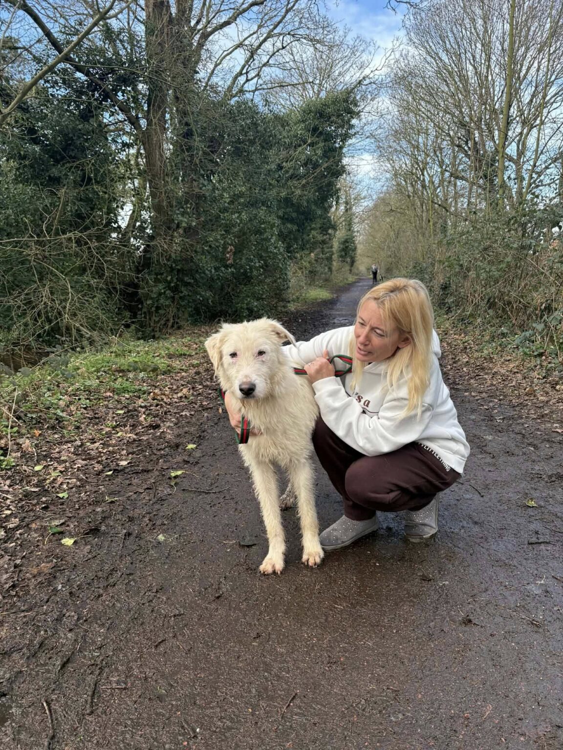 Peter - Safe Rescue for Dogs