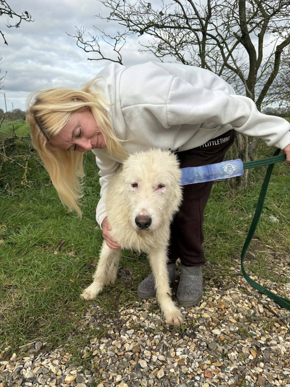 Peter - Safe Rescue for Dogs